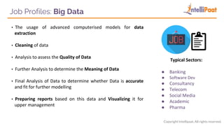Big Data Developer Career Path: Job & Interview Preparation | PPT