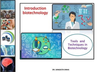 Career in Biotechnology | PPTX