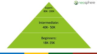 Career Development in Programming Sector | PPTX