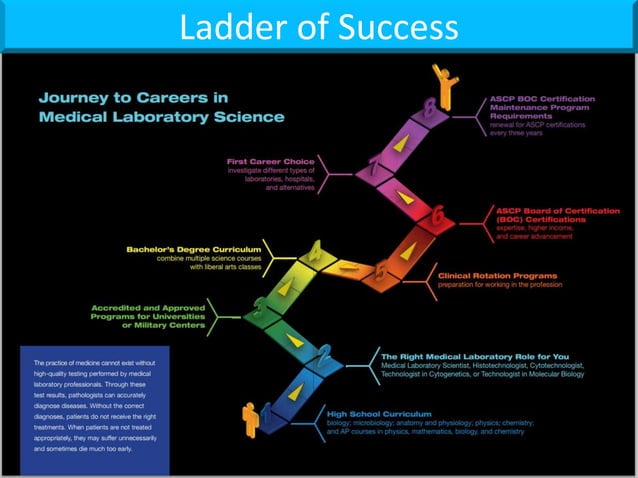 Career map mlt2015 (3) | PPTX | Professional School | Postgraduate ...