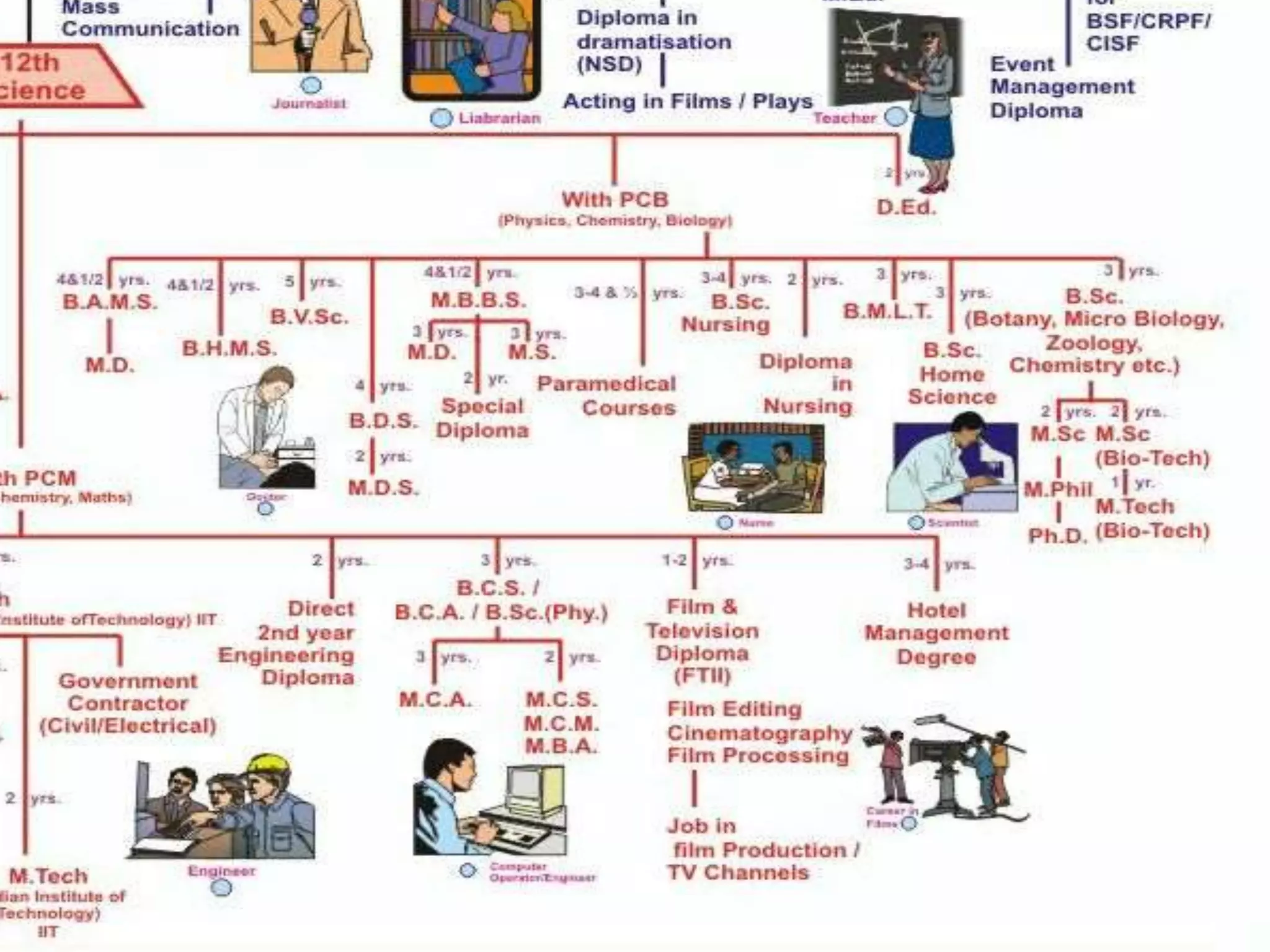 Career opportunities after 12th science | PPSX