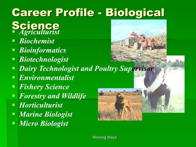 Career opportunities after_HSc | PPT