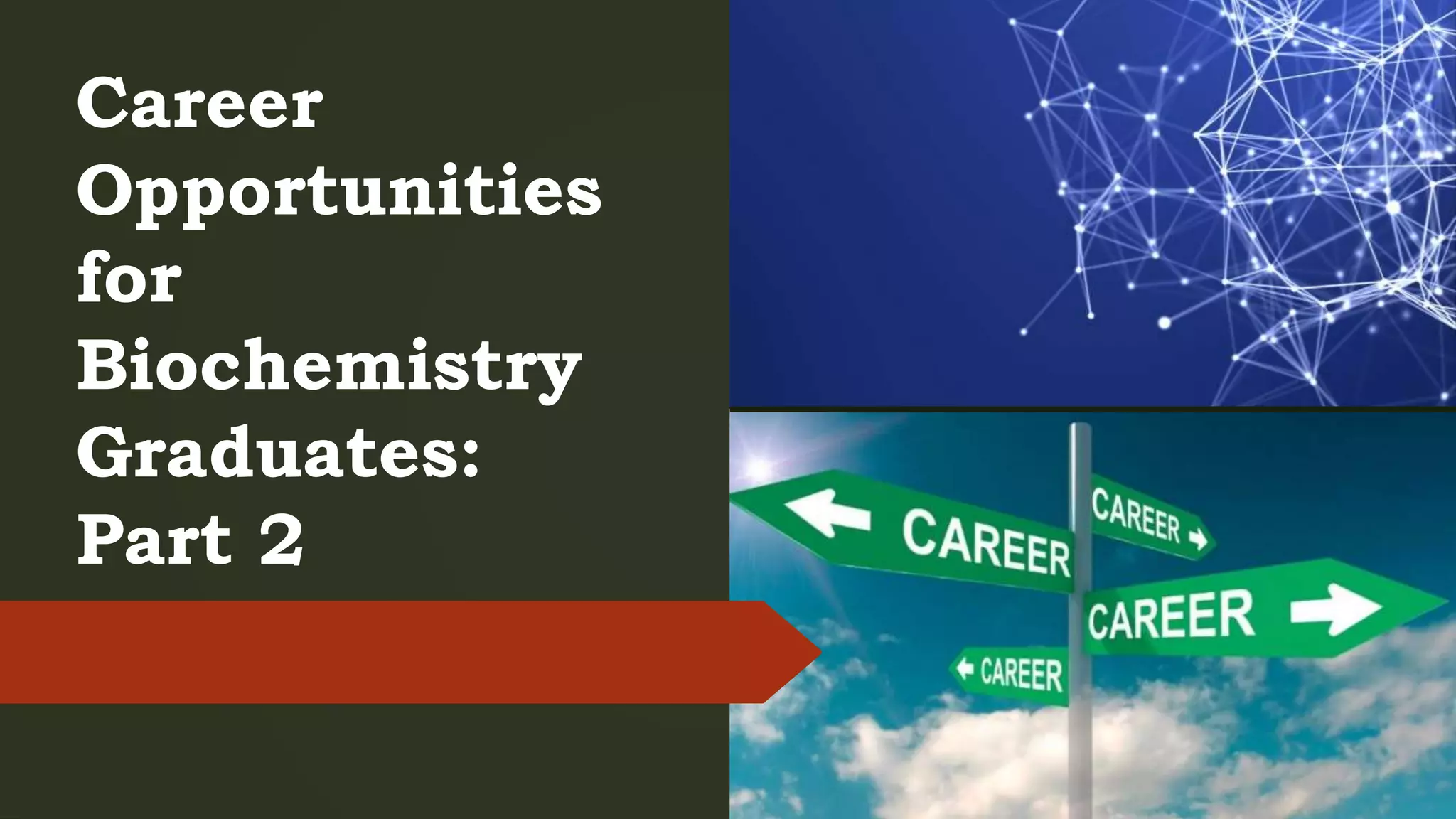 Part 2: Career Opportunities for Biochemistry Graduates | PPT