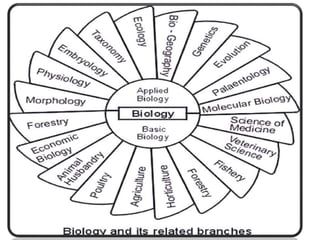 Career options after BSC in ZOOLOGY | PPTX