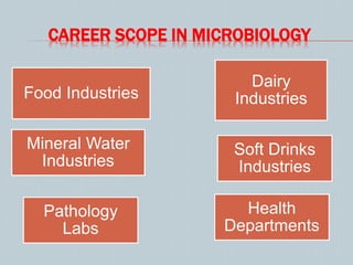 CAREER OPTIONS IN MICROBIOLOGY.pptx