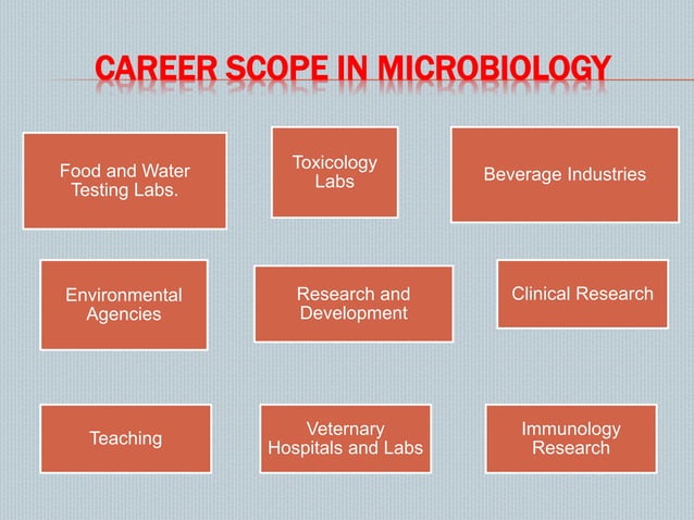 CAREER OPTIONS IN MICROBIOLOGY.pptx CAREER OPTIONS IN MICROBIOLOGY.pptx