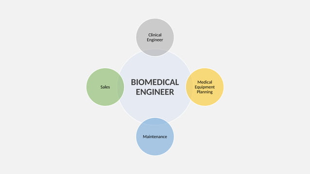 Career Paths for Biomedical Engineers in Egypt - draft.pptx
