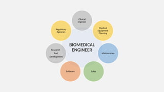 Career Paths for Biomedical Engineers in Egypt - draft.pptx