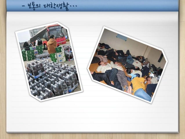 Career path for university students | PDF