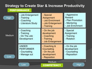 Career Path & Succession Plan.ppt