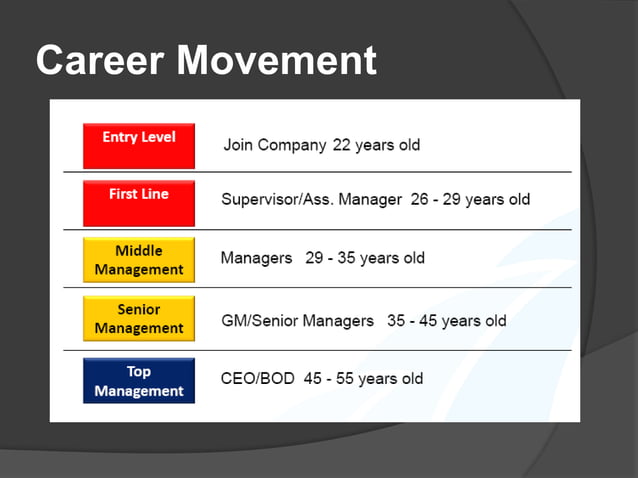 Career Path & Succession Plan.ppt | Career Planning | Careers