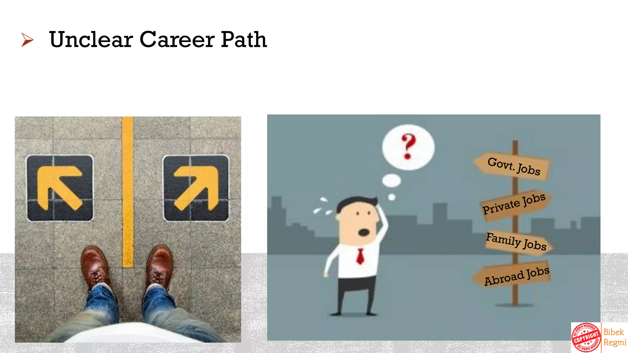 Career planning Practice in Nepalese employees and organization | PDF