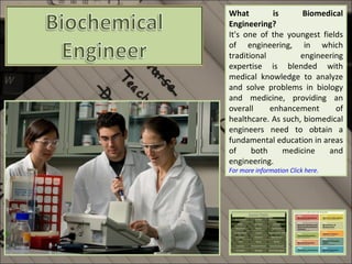 PowerPoint: Choosing a Career | PPT