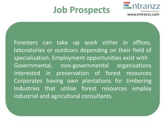 Careers in forestry wildlife | PPTX