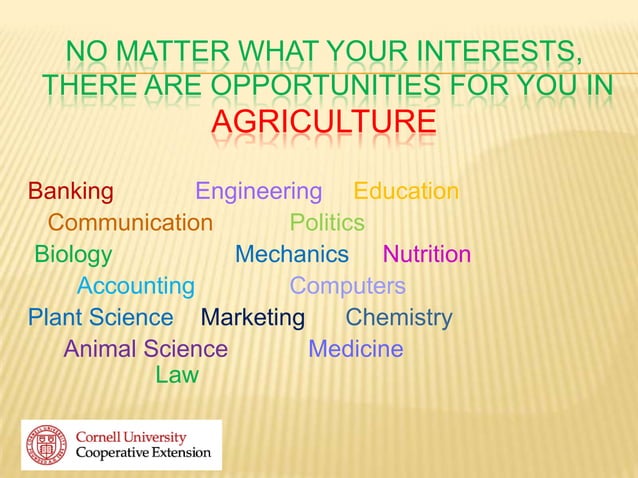 Careers in Ag | PPTX | Agriculture | Industries