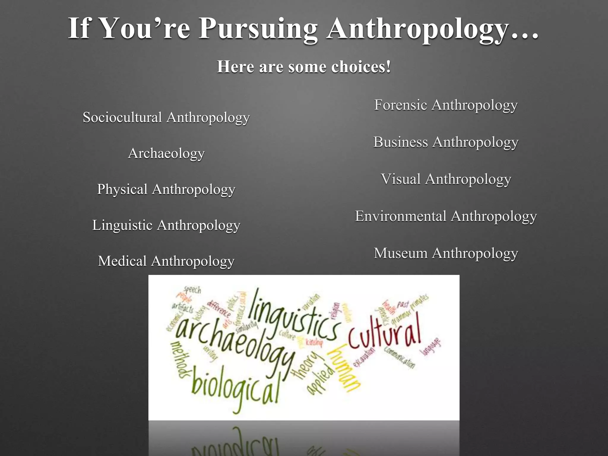 Careers in Anthropology | PPT