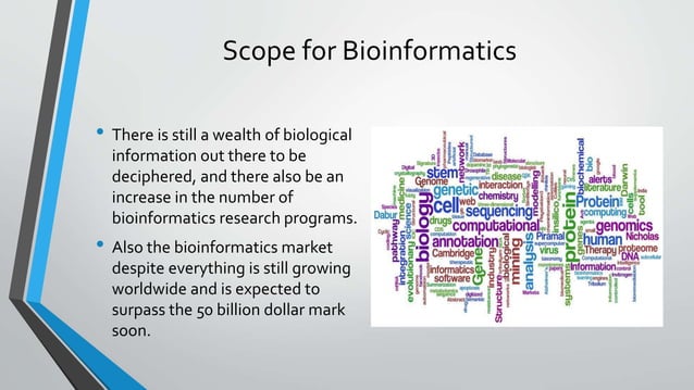 Careers in bioinformatics, Scope, Skills and Jobs | PPT