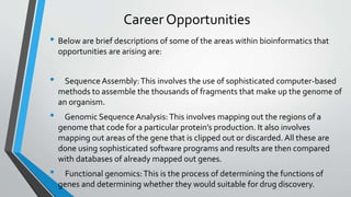 Careers in bioinformatics, Scope, Skills and Jobs | PPTX