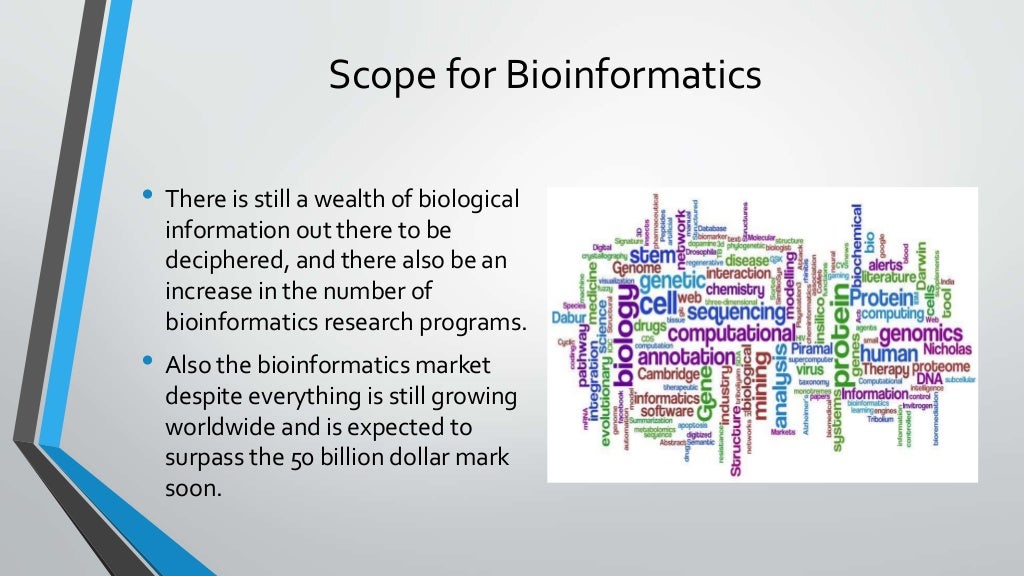 Careers in bioinformatics, Scope, Skills and Jobs