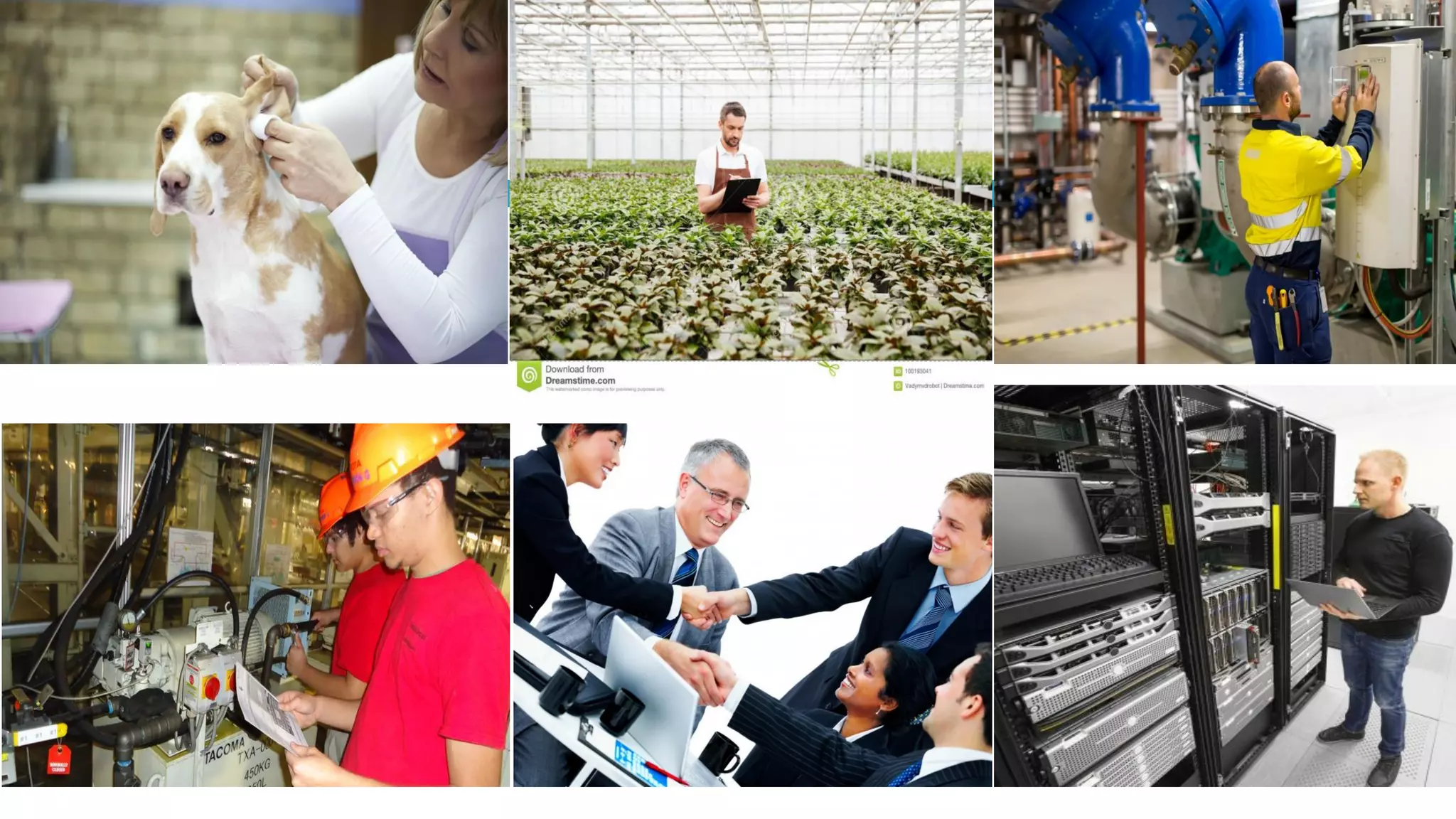 Careers in biotechnology | PDF