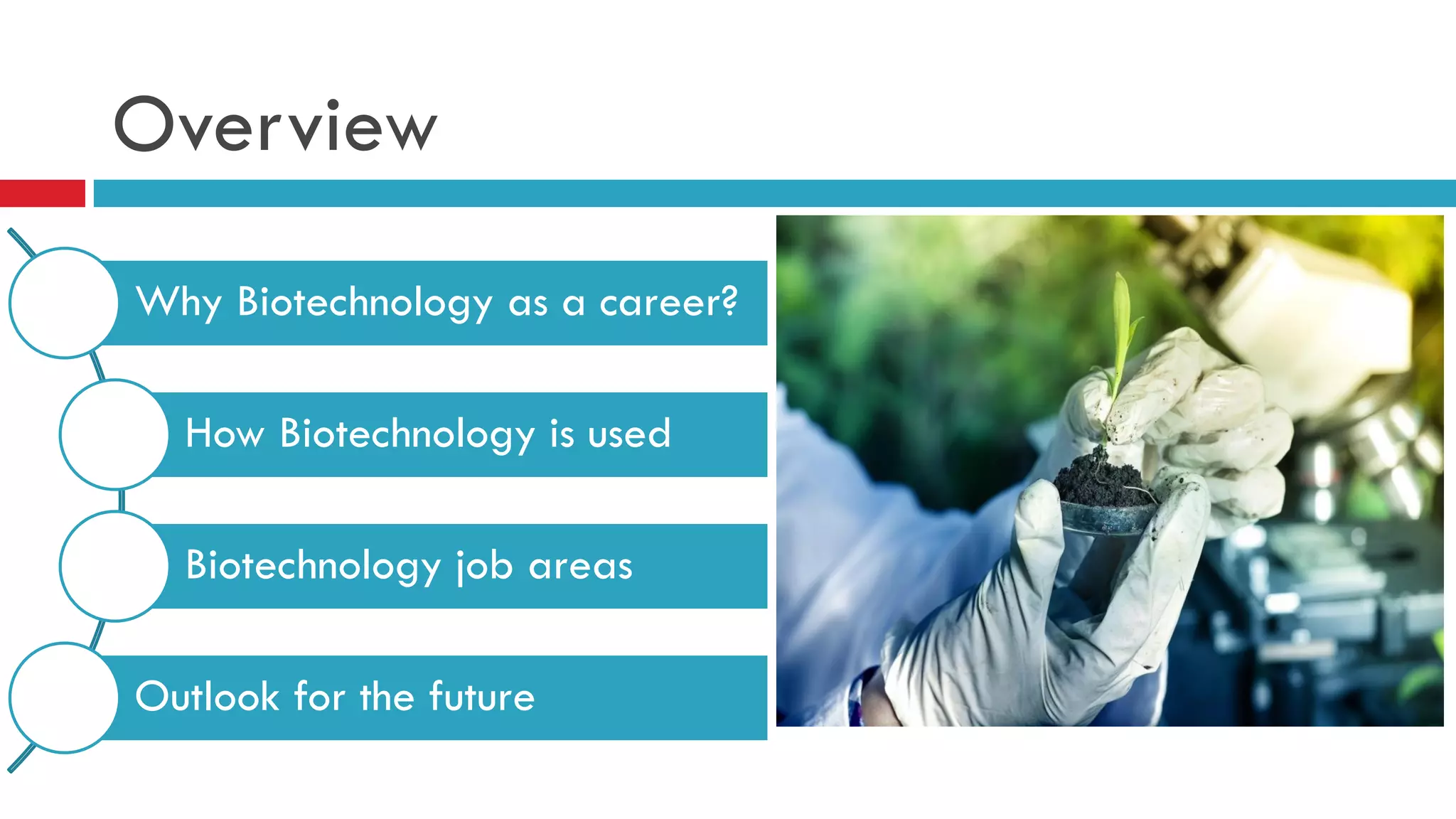 Careers in biotechnology | PDF