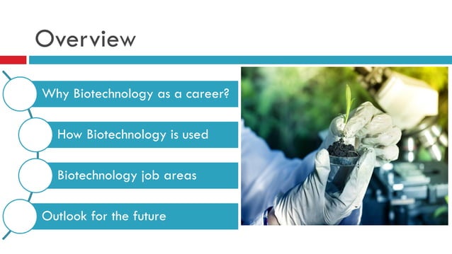 Careers in biotechnology | PDF