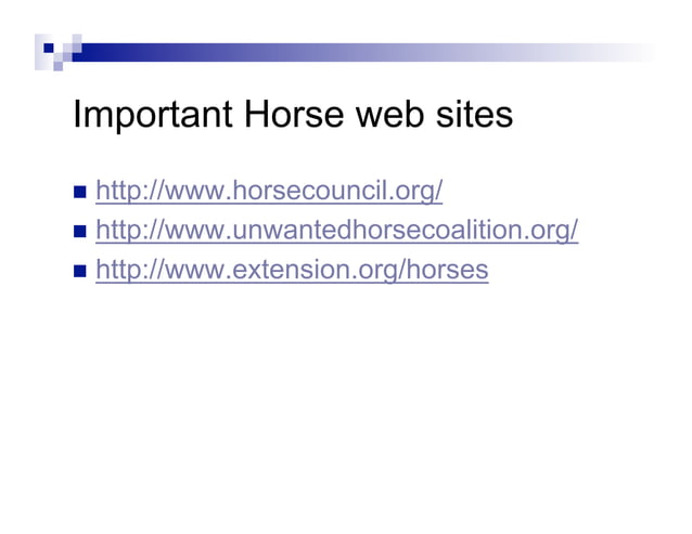 Careers In Equine Industry 09 | PPT