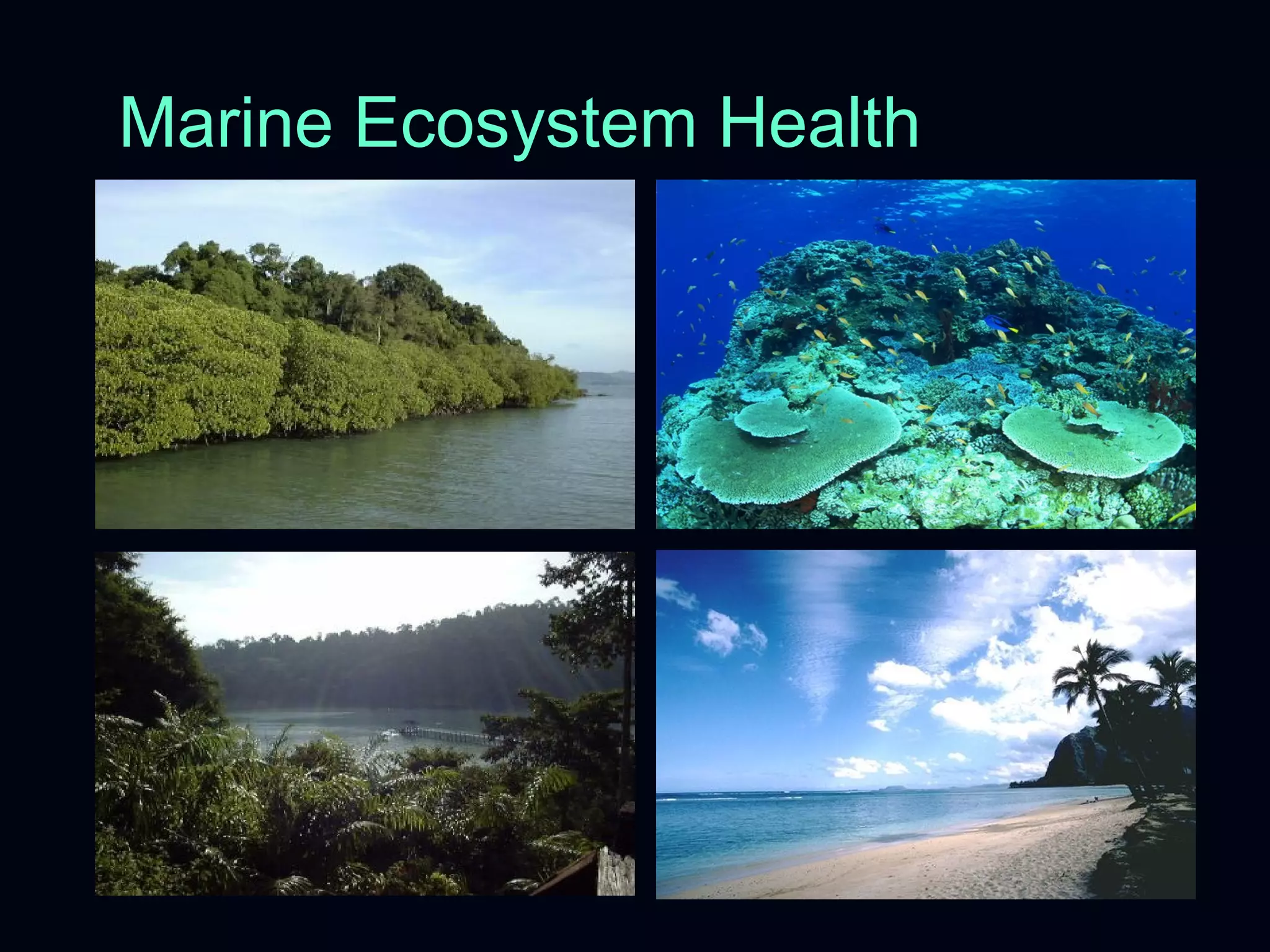 Careers in oceanography | PPT