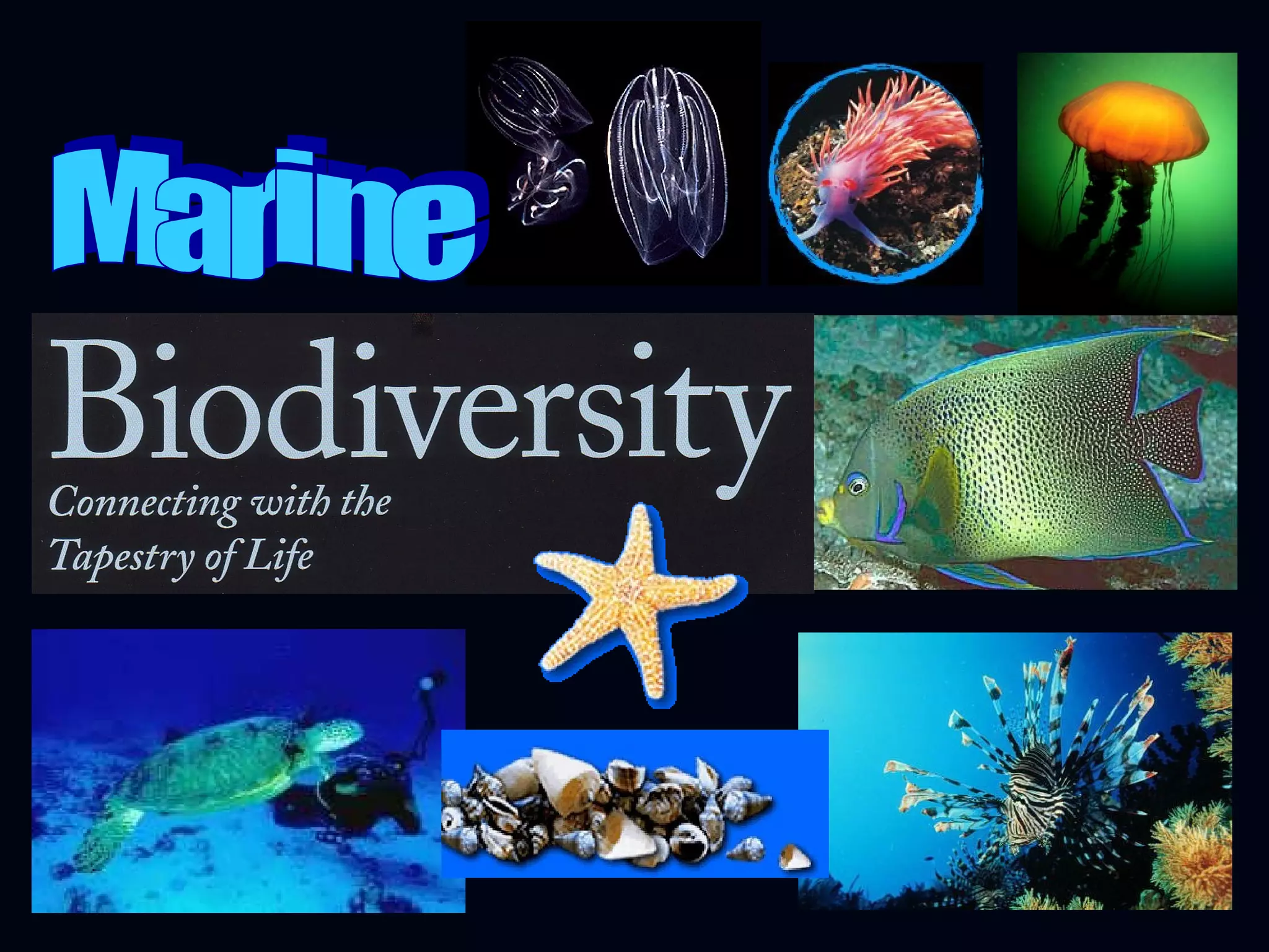 Careers in oceanography | PPT
