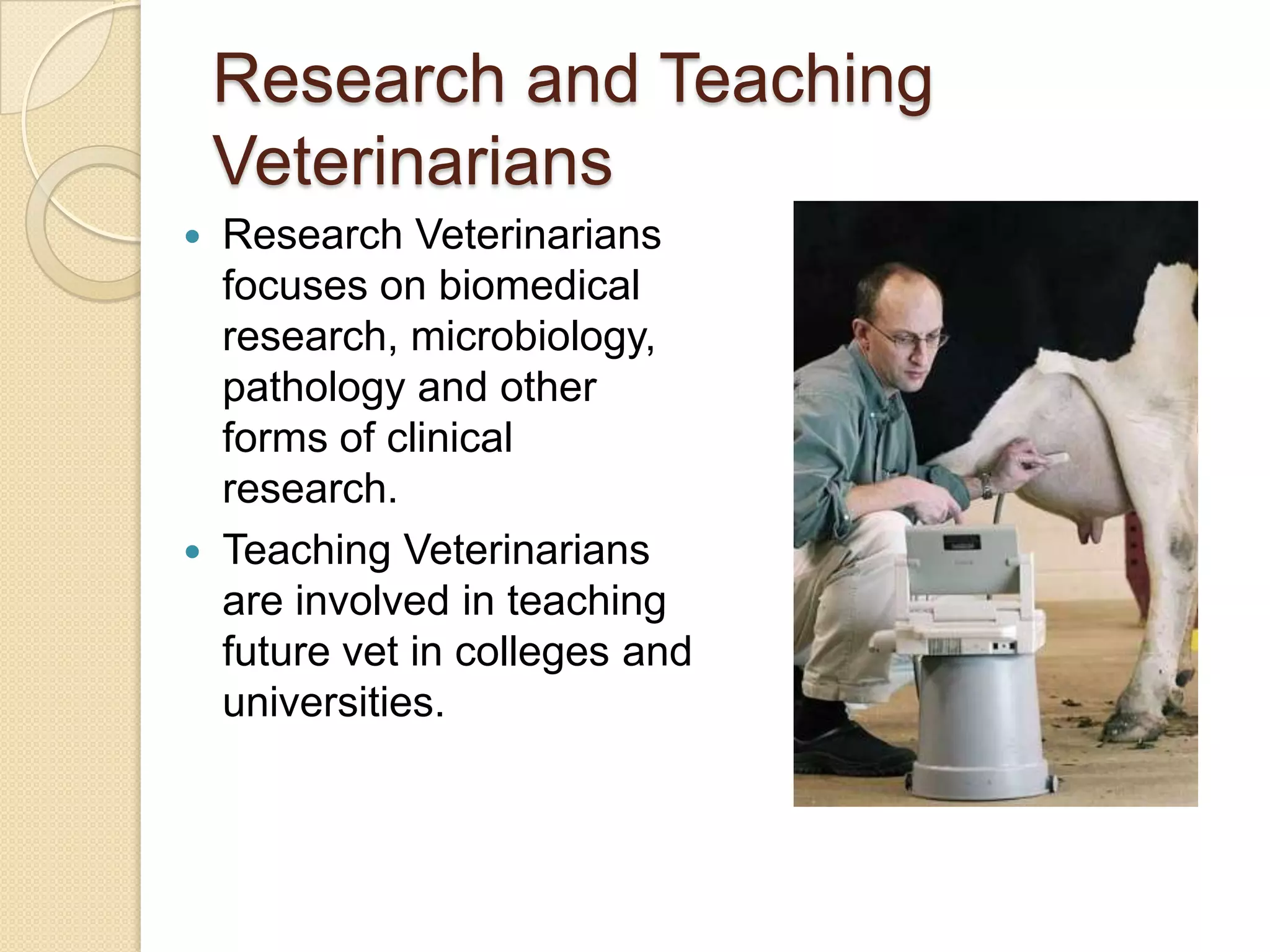 Careers in veterinary medicine | PPTX