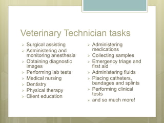 Careers in Veterinary Medicine | PPTX