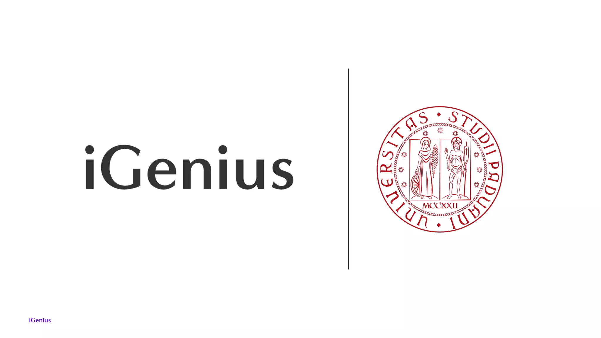 iGenius, the AI Company - Are you the next big thing? | PDF ...