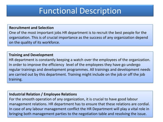 Career stages in HRM | PPTX | Human Resources | Business