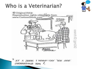 Veterinary Sciences | PPTX