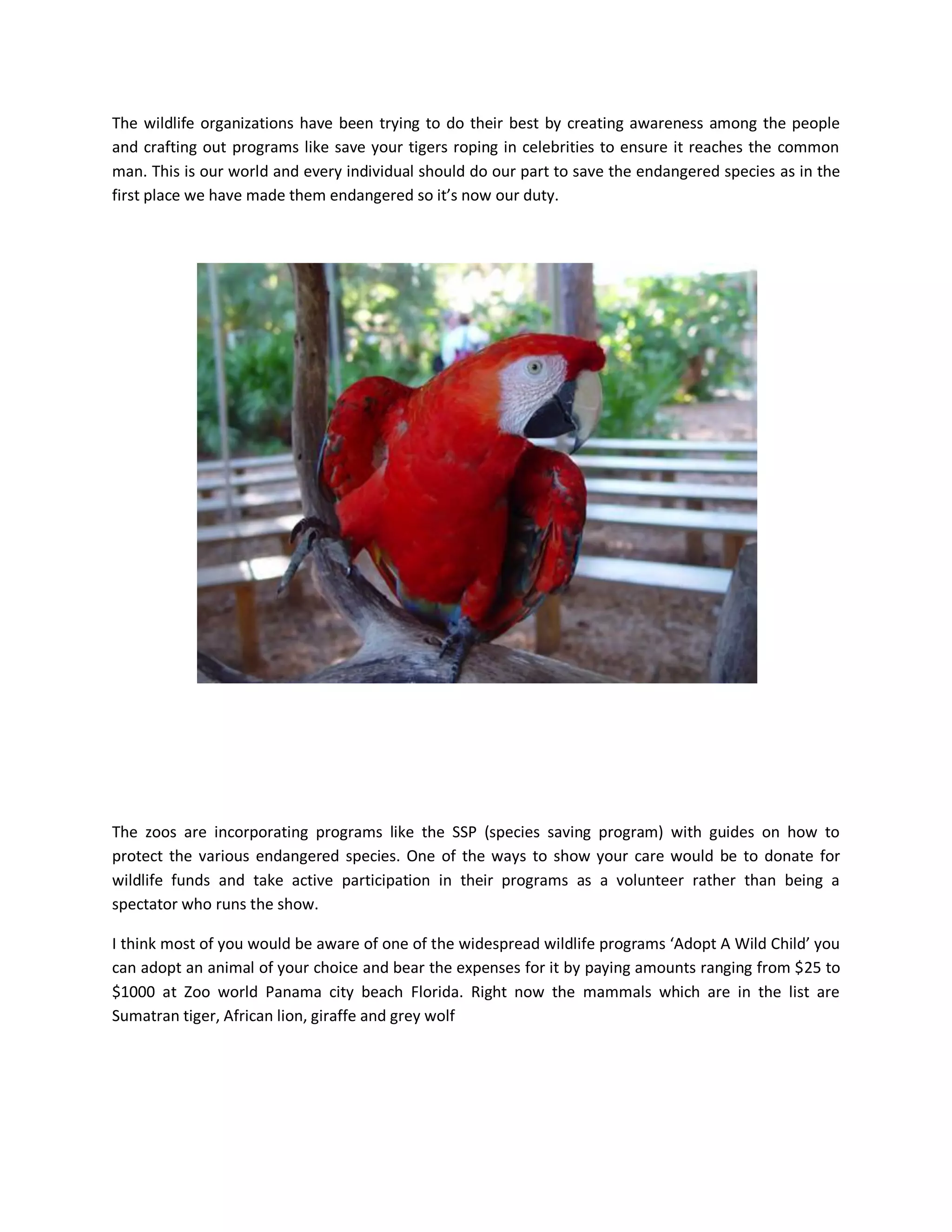 Care for florida zoos | PDF | Zoos & Aquariums | Attractions