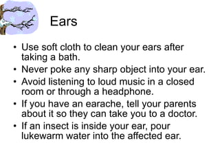 Care For The Sense Organs | PPS