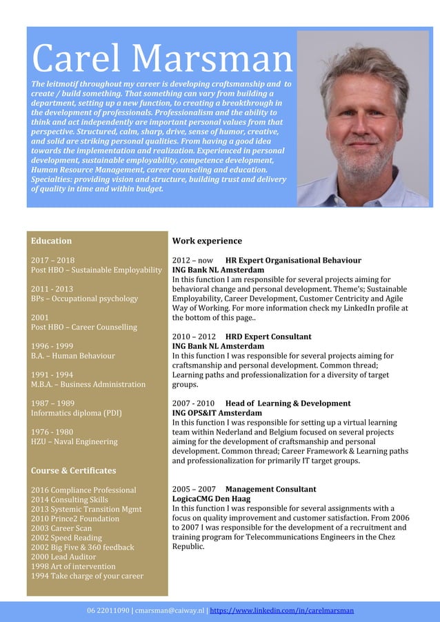 Carel H. marsman cv en 2017 | PDF | Management Consulting Industry ...