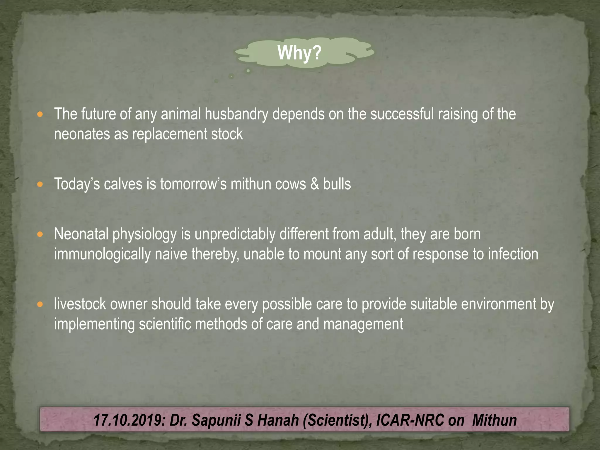 Care & Management of Mithun calves.pptx