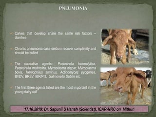 Care & Management of Mithun calves.pptx