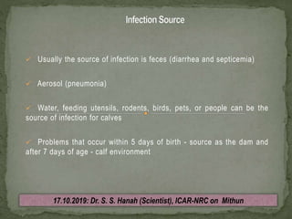 Care & Management of Mithun calves.pptx