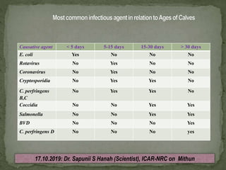 Care & Management of Mithun calves.pptx