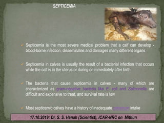 Care & Management of Mithun calves.pptx