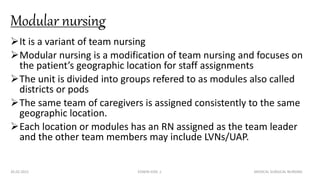 Care models,practice settings.interdisciplinary team | PPTX