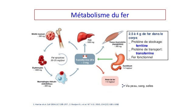 La Carence martiale dans l'insuffisance cardiaque