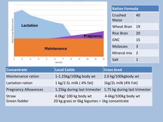 Care and Management of Pregnant Cows and Ewes | PPTX