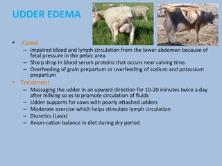 Care and Management of Pregnant Cows and Ewes | PPTX