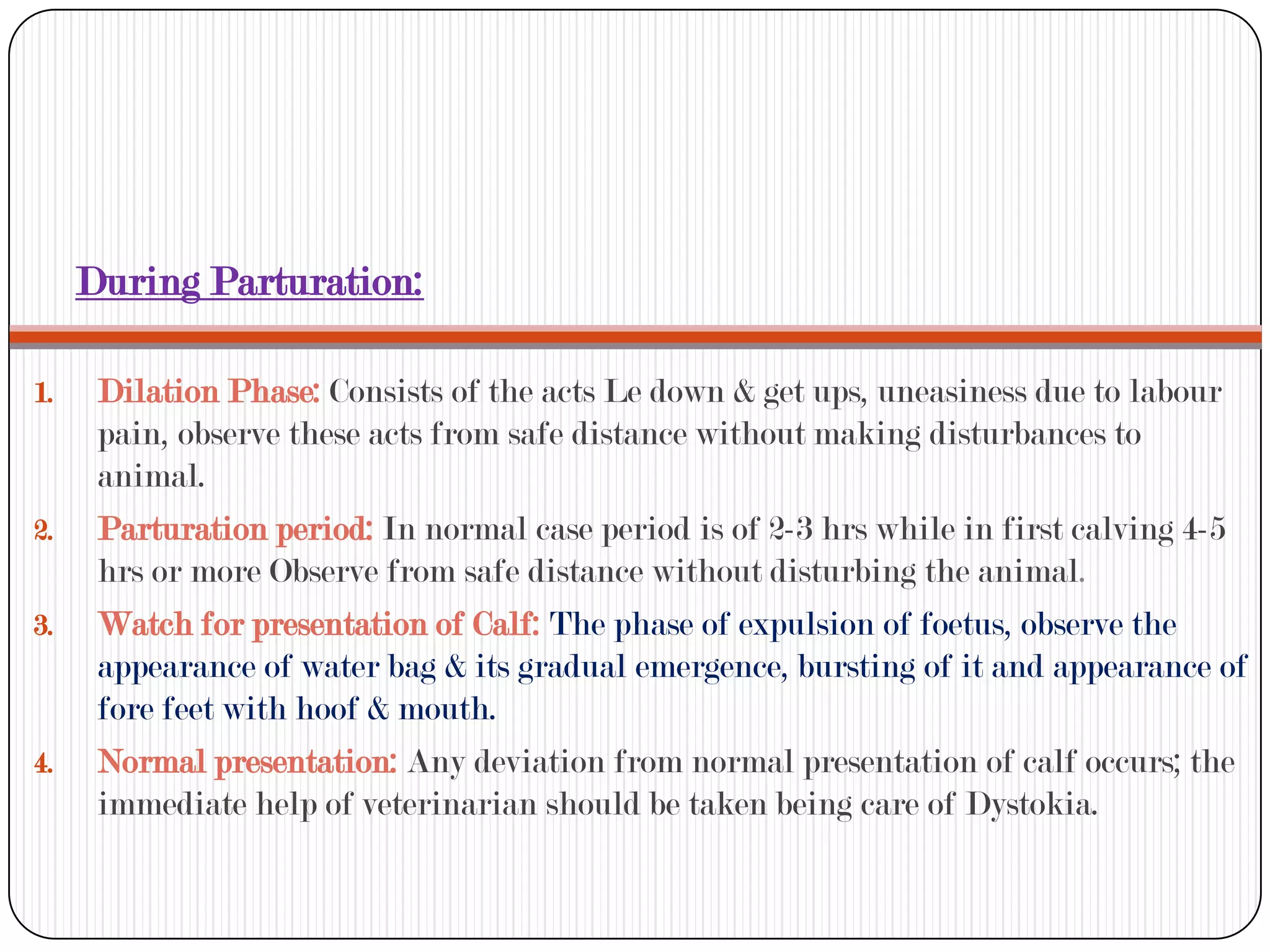 Care and management of calving cow | PPTX