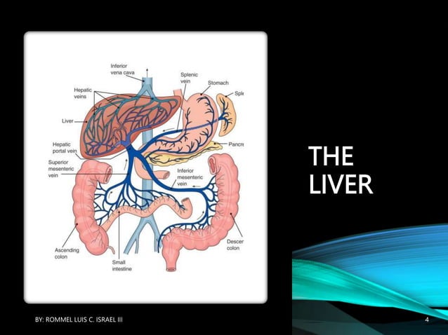 Care of Client With Liver and Pancreatic Disorder | PPTX