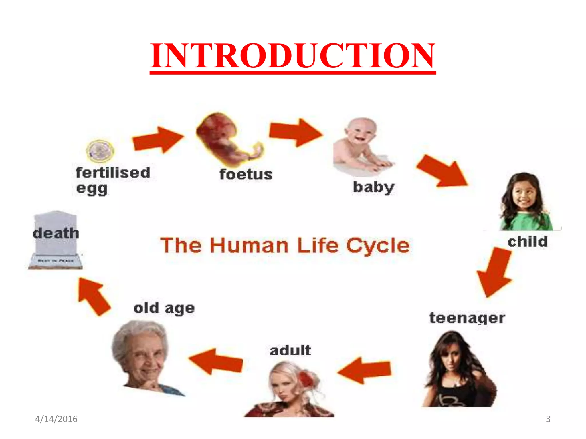 Care of dying patient | PPTX