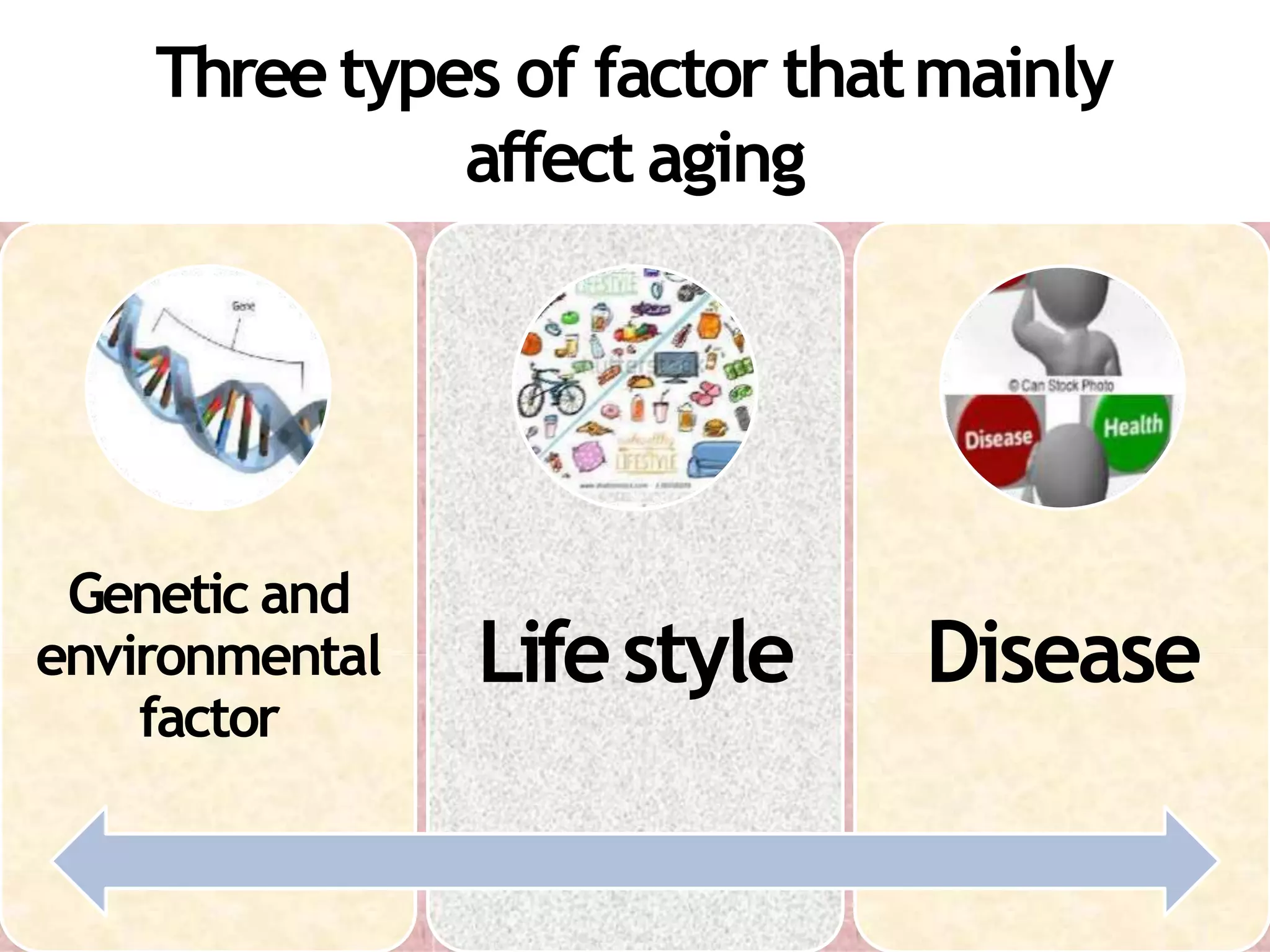 Care of elderly | PPTX